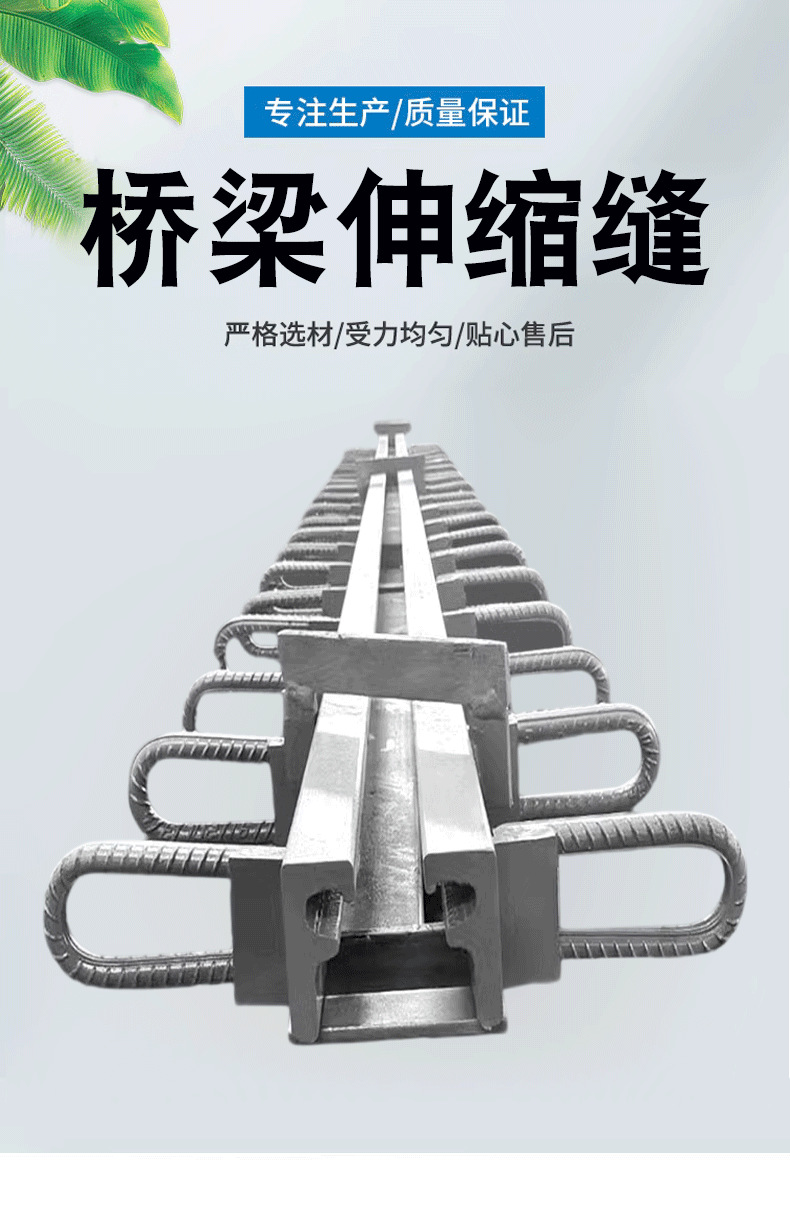 桥梁伸缩缝装置RBKF SSFB 80型160型240型单元多向变位梳齿板缝-阿里巴巴