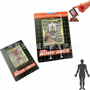 跨境新品Human Anatomy Playing Cards 趣味人体解剖学扑克牌-阿里巴巴