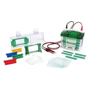 Bio-Rad伯乐蛋白垂直电泳仪带槽 Mini-PROTEAN Tetra 1658001-阿里巴巴