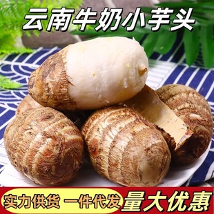 【特价现挖】云南牛奶小芋头软糯香甜毛芋头蔬菜香芋芋艿种子-阿里巴巴