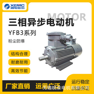 湖南湘潭电机YFB3系列30kw45kw粉尘防爆三相异步电动机效率高节能-阿里巴巴