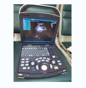 迈瑞医用B超 全数字手提式超声DP-10 黑白超声诊断系统配腹部探头-阿里巴巴
