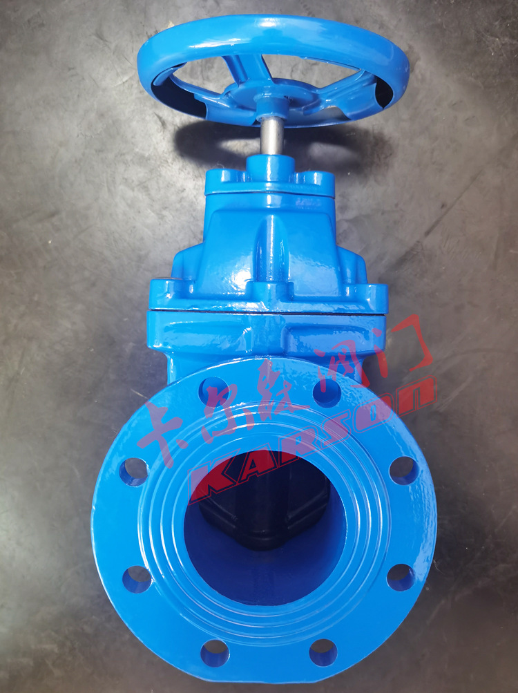 卡尔森Z45X-10/16Q法兰球墨铸铁dn100污水弹性座暗杆 软密封闸阀-阿里巴巴