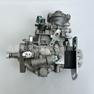 燃油泵0460424406 2856382 504103774喷油泵0460424402 504128987-阿里巴巴