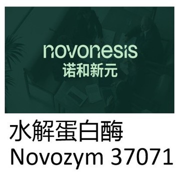 诺和新元（原诺维信）水解蛋白酶 Novozym 37071-阿里巴巴
