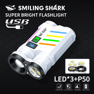 Luminous flashlight with high brightness and output-阿里巴巴