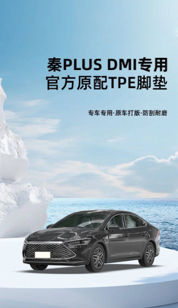 适用比亚迪秦PLUSDMI汽车脚垫TPE包围24款EV地垫PLUS用品装改装新-阿里巴巴