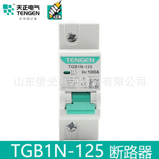 TENGEN天正电气TGB1N-125 2P3P100A空气开关小型断路器2P125A-阿里巴巴