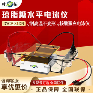 上海叶拓 DYCP-31DN 高透明度聚碳酸酷注塑成型蛋白转印电泳仪-阿里巴巴