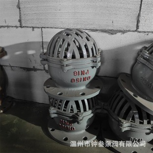 抽水泵铸钢底阀 H42X-25C DN250 WCB抽水泵铸钢法兰底阀 H42X-阿里巴巴