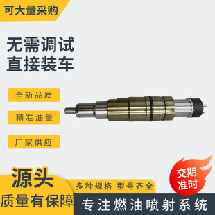 2897320/2031835/2488244/柴油喷油嘴总成适用于斯堪尼亚喷油器-阿里巴巴