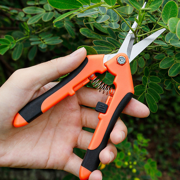 Manufacturer Grape Shears, Garden Tools, Floral Shears, Fruit Thinning ...
