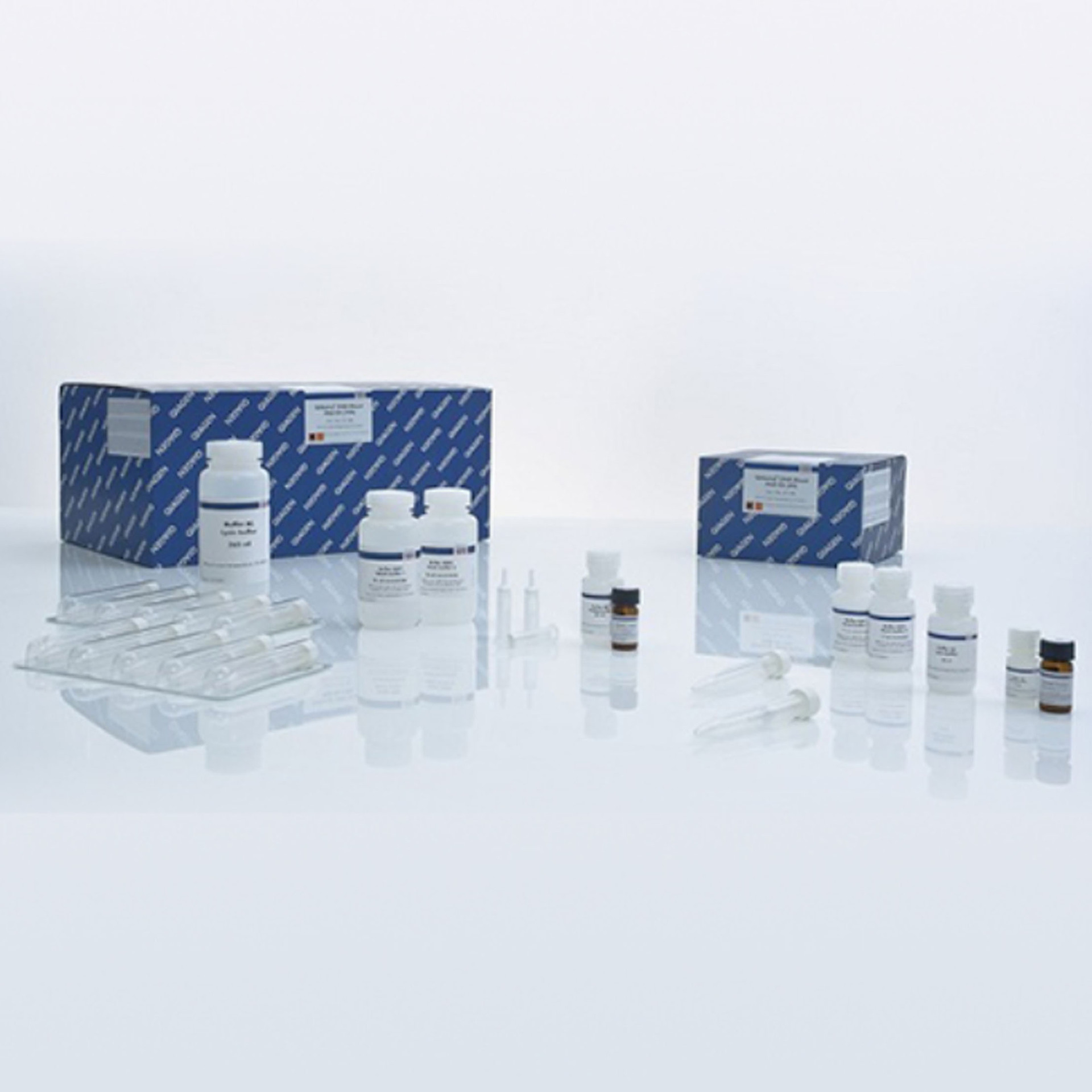 Qiagen 12243 质粒中提试剂盒，25T-阿里巴巴