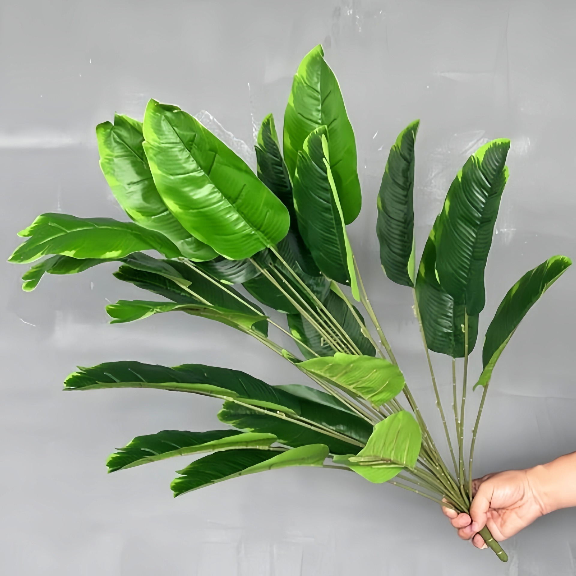 Traveler Banana Tree Fan Banana Traveler Jiao Simulation Green Plant 18 ...
