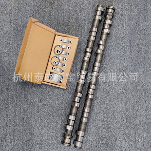 适用于宝马F10 F18 N55 N52 凸轮轴进排11317576160 11317576161-阿里巴巴