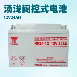 YUASA汤浅蓄电池NP12V系列24/38/65/100/120AH铅酸免维护12v24AH-阿里巴巴