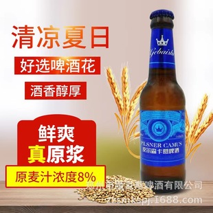 整箱批发8度皮尔森风味啤酒 啤酒275ml×24瓶夜场酒吧ktv全国招商-阿里巴巴