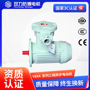 定制YBX4/YBX3防爆型异步电机 加工铝壳高效率真空泵用电动机-阿里巴巴