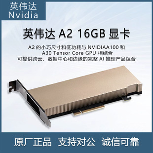 英伟达（NVIDIA）A2 16GB单插槽边缘AI推理GPU计算卡运算加速显卡-阿里巴巴
