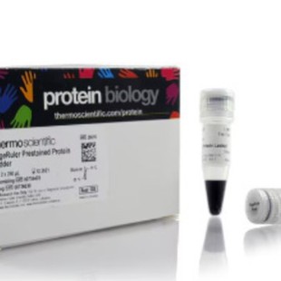 PageRuler™ 预染蛋白分子量标准，10 至 180 kDa-阿里巴巴