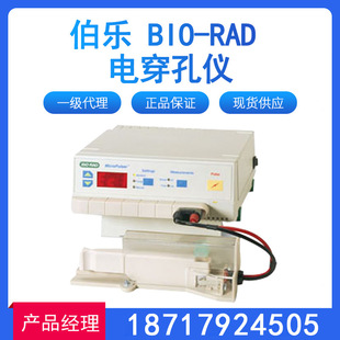 美国伯乐Bio-Rad电穿孔仪实验室微生物电击仪MicroPulser电转仪-阿里巴巴