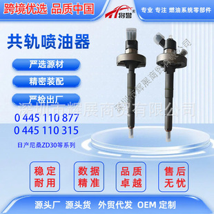 适用于日产尼桑ZD30喷油器总成16600VZ20B电喷共轨油嘴0445110877-阿里巴巴