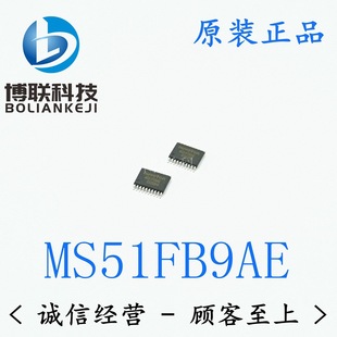 MS51FB9AE 替代003 贴片TSSOP20 原装NUVOTON/新唐 控制器IC芯片-阿里巴巴