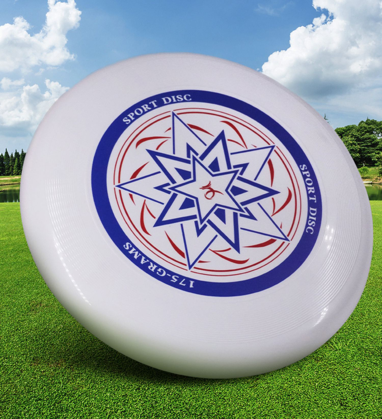 175g专业竞技飞盘户外运动成人比赛亲子儿童玩具可回旋专业飞盘-阿里巴巴