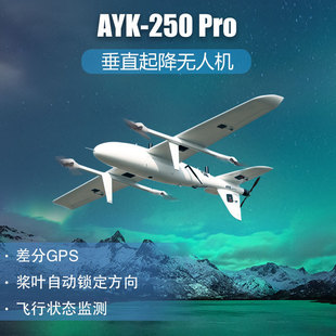 Foxtech AYK-250 PRO 垂直起降 Vtol 复合翼 长航时 巡检测绘 无-阿里巴巴