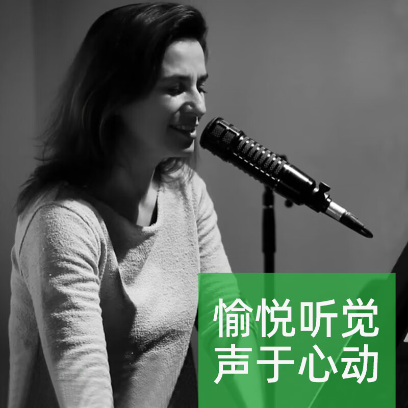 ev专业话筒-ev专业话筒批发、促销价格、产地货源 - 阿里巴巴