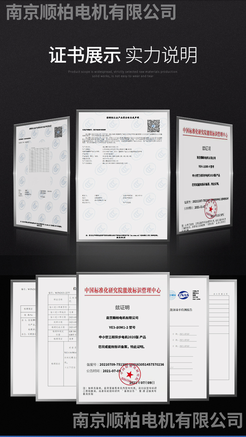 南京顺柏电机有限公司 10级YE3 YE2-YE3-YE4三相异步电动机_4_17