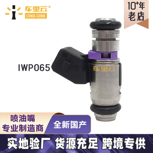 适用于奇瑞 风云 菲亚特 派力奥 喷油嘴 IWP065 IWP-065 7078993-阿里巴巴