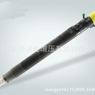 原装德尔福喷油器R00101DP EMBR00101D 1980L3 9M5Q-9F593-BA-阿里巴巴