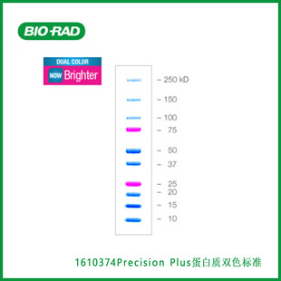 伯乐Bio-Rad 1610374 Precision Plus Protein Dual Color Stan-阿里巴巴