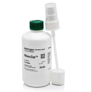 赛默飞Thermo Fisher Scientific AM9782 RNaseZap去污溶液-阿里巴巴
