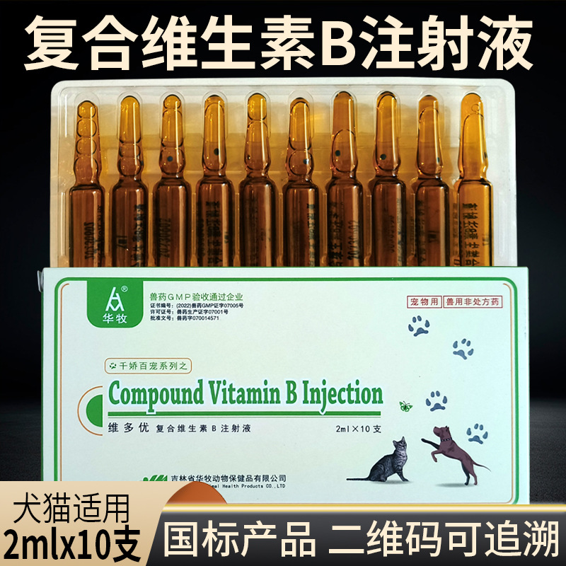 Compound Vitamin B Injection for Dogs and Cats, Pet Neuritis ...