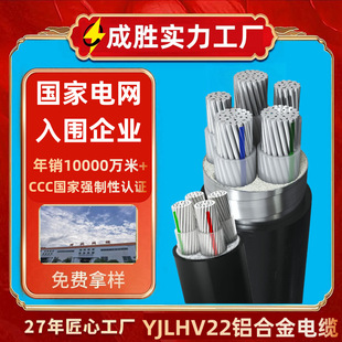 YJLHV22铠装铝合金电缆 国标地埋2 3 4 5芯10-630平方三相电缆-阿里巴巴