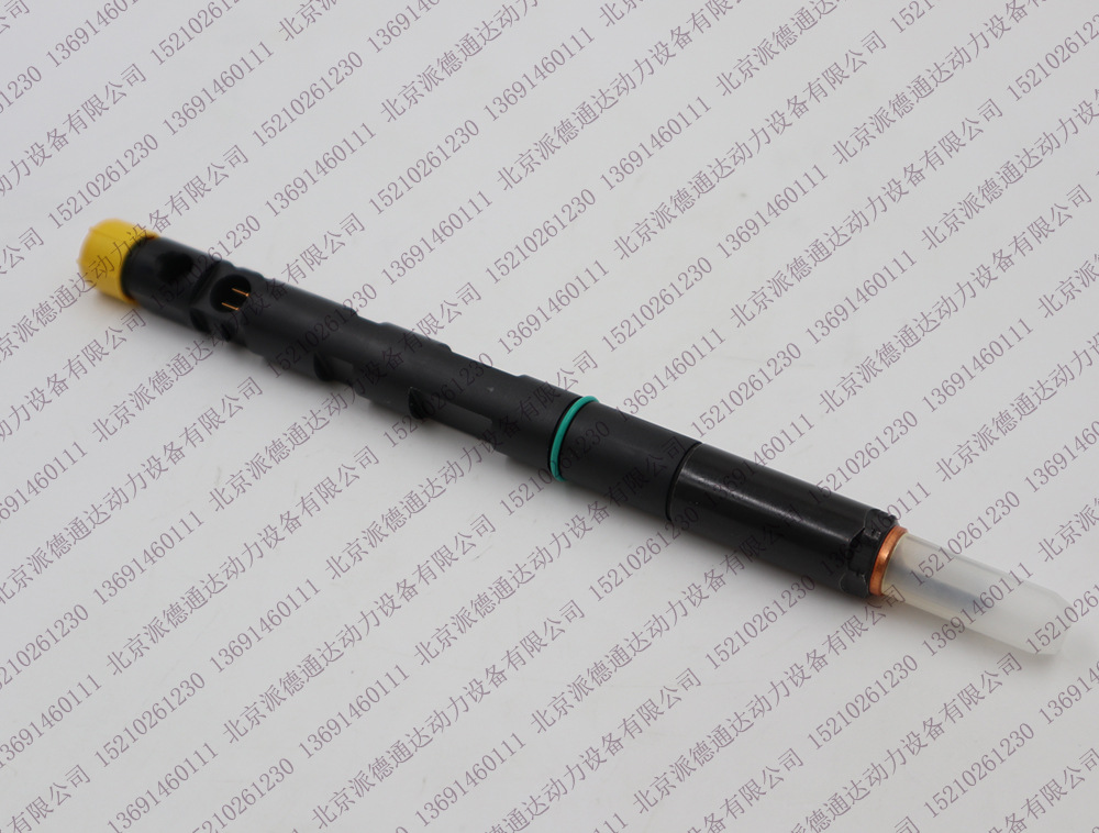 德尔福EJBR05001D喷油器/德尔福共轨喷油器EJBR05001D欧四R05001D-阿里巴巴