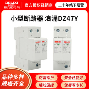德力西浪涌DZ47SY 防雷器 避雷器 防雷击-阿里巴巴