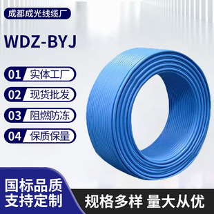 WDZB-BYJ低烟无卤阻燃电线WDZ-BYJE聚烯烃电线 厂家销售-阿里巴巴