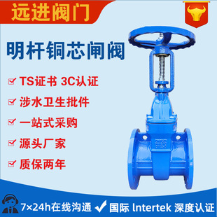 球墨铸铁硬密封明杆闸阀Z41T-16Q铜芯法兰闸阀 自来水务专业阀门-阿里巴巴