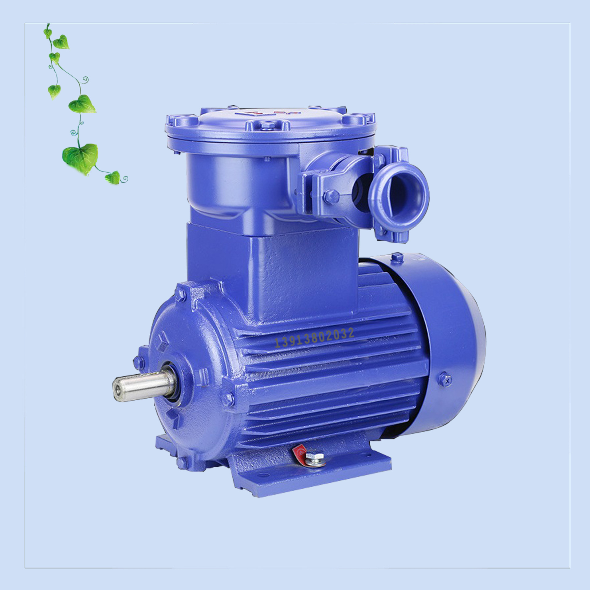 粉尘防爆 BT4防爆电机 防爆电机 立式电动机 YBX3-80M1-2/0.75KW-阿里巴巴