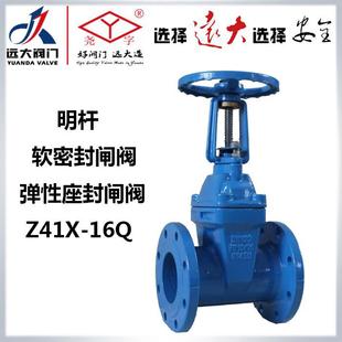 远大阀门Z41X-16Q球墨铸铁弹性座封污水dn150明杆软密封法兰闸阀-阿里巴巴