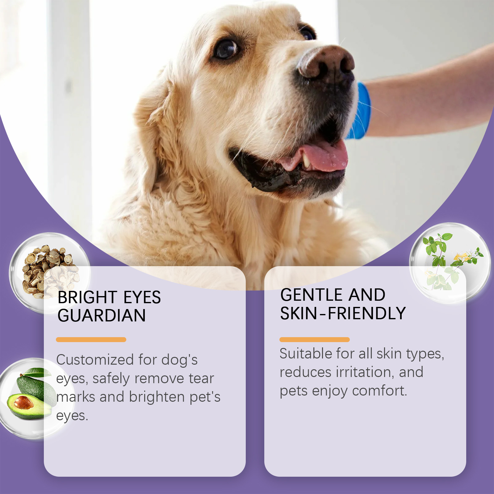 Yegbong犬用眼膏 宠物狗狗眼部温和清洁眼垢泪痕滋润护理犬用眼膏-阿里巴巴