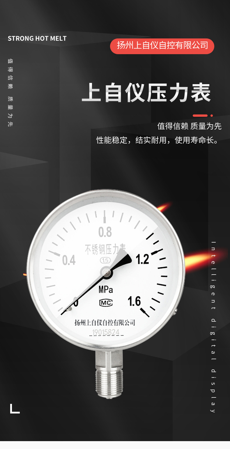 YN100BF不锈钢隔膜压力表1.6MPA真空耐震压力表电接点压力表-阿里巴巴