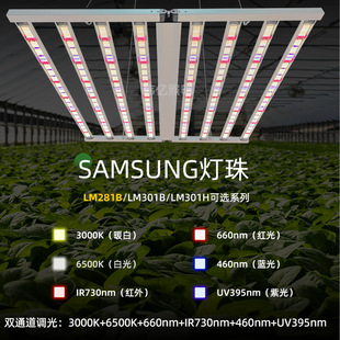 LM301H LM301B EVO LM281B两路调光植物灯660W 900W 1100W 1300W-阿里巴巴