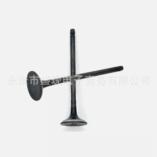 2221125002 2221225000 适用于现代起亚发动机进气和排气阀套件-阿里巴巴