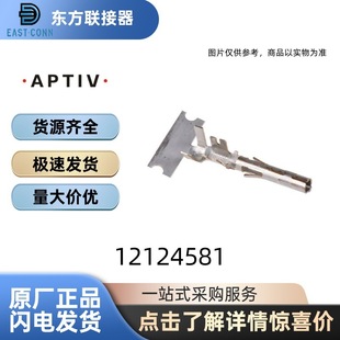 12124581汽车连接器端子APTIV Delphi德尔福接插件原装请询下单-阿里巴巴