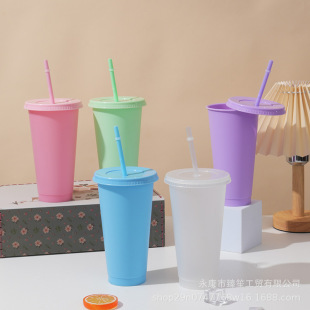 跨境PP单层彩色吸管杯大容量710ml/24OZ单层塑料杯奶茶杯可印Log-阿里巴巴