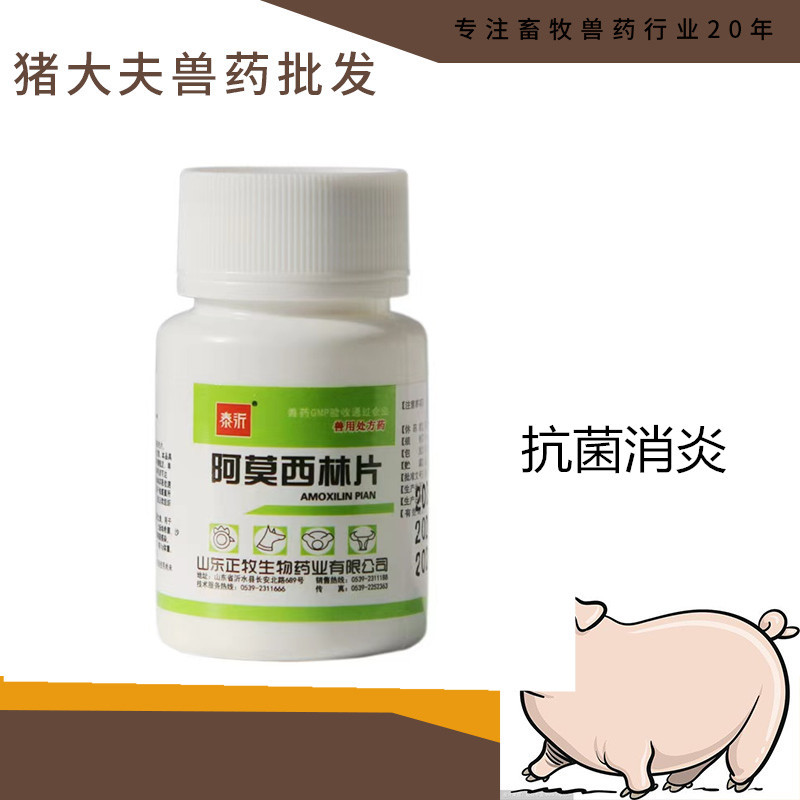 山东泰沂阿莫西林片 10mg/片 50片*30瓶/盒 16盒一箱-阿里巴巴